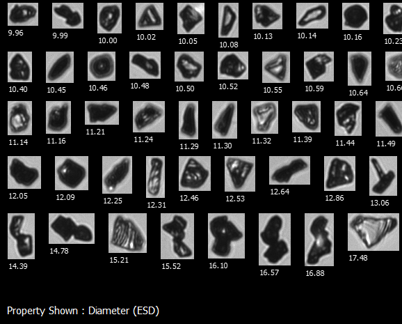 Abrasive Compound Characterization with FlowCam