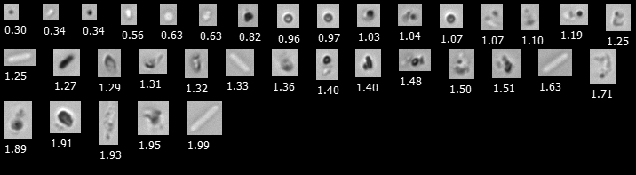 Flow Imaging Microscopy: What It Is and How It's Used