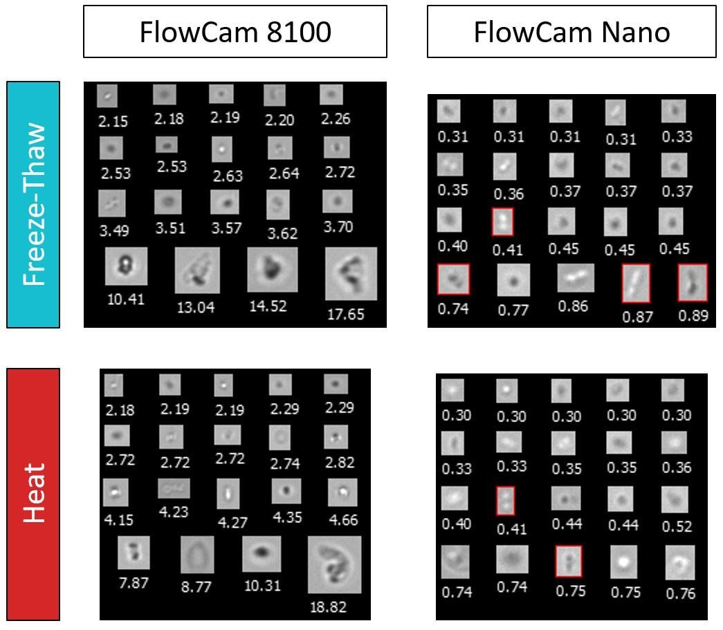 FlowCam Helps Optimize Lipid Nanoparticle Formulations