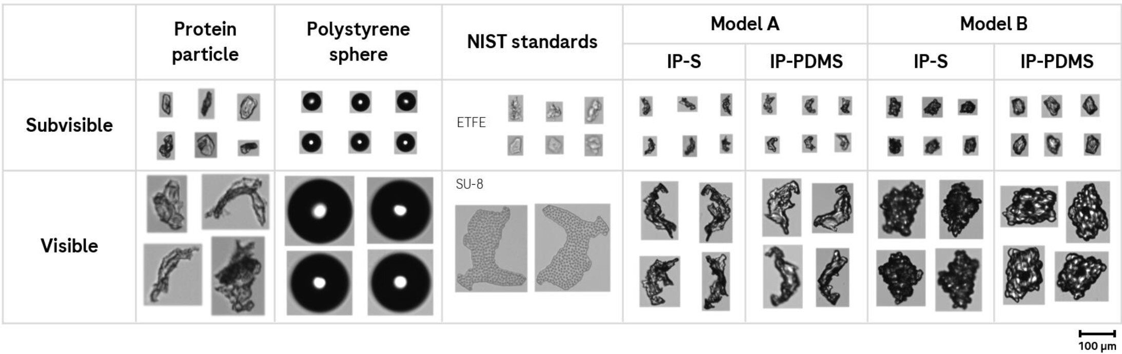 FlowCam Aids Development of Protein-Like Particle Standards