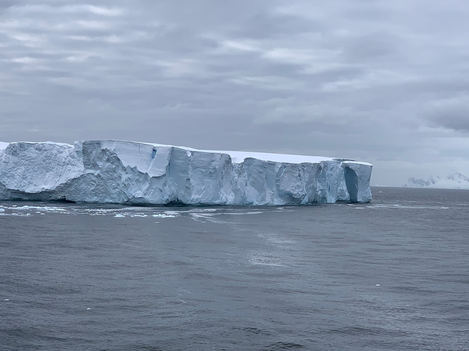Studying Ties Between Melting Glaciers and Phytoplankton