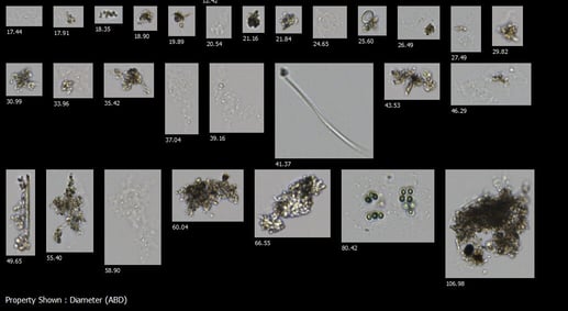 Understanding the Different Applications of Wastewater Analysis