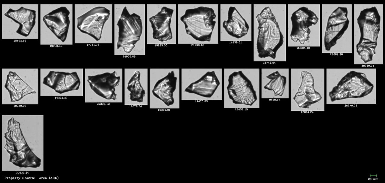 Polymer Characterization | Fiber Characterization | FlowCam