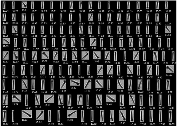 Particle Shape Causes Invisibility with Optical Camouflage