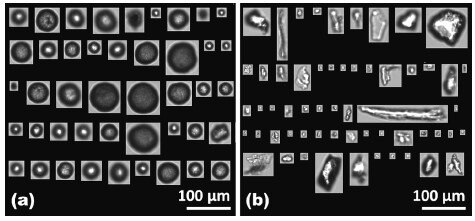 A Microplastics Analysis Solution for Recycling & Wastewater Workflows