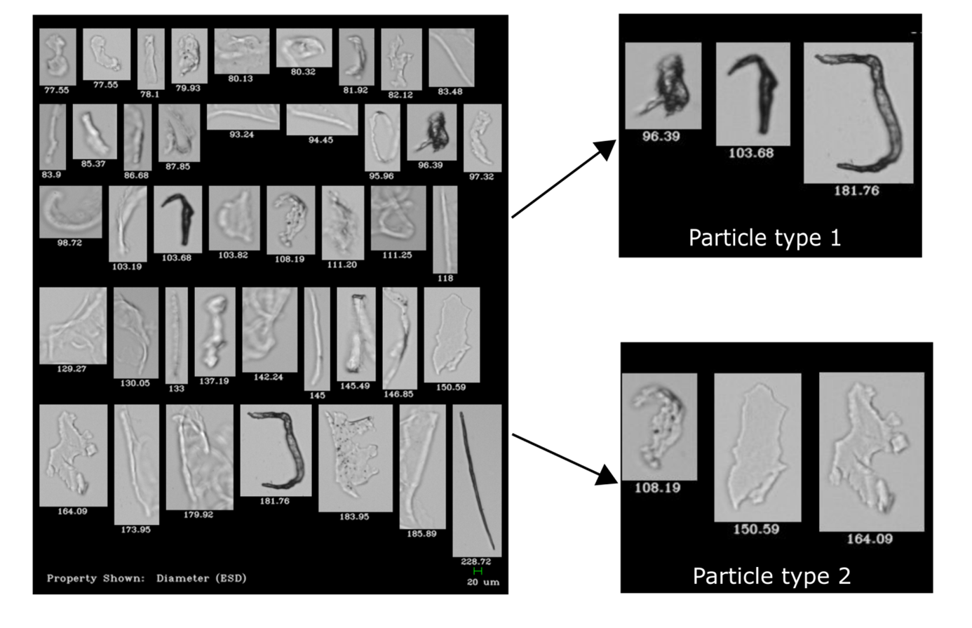 Particle Analysis Prevents Embolism from Medical Devices