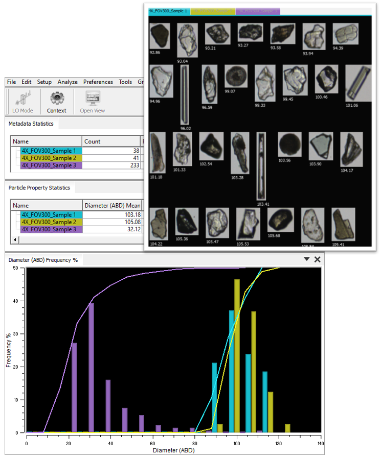 Particle Analysis Software | Particle Size Classification