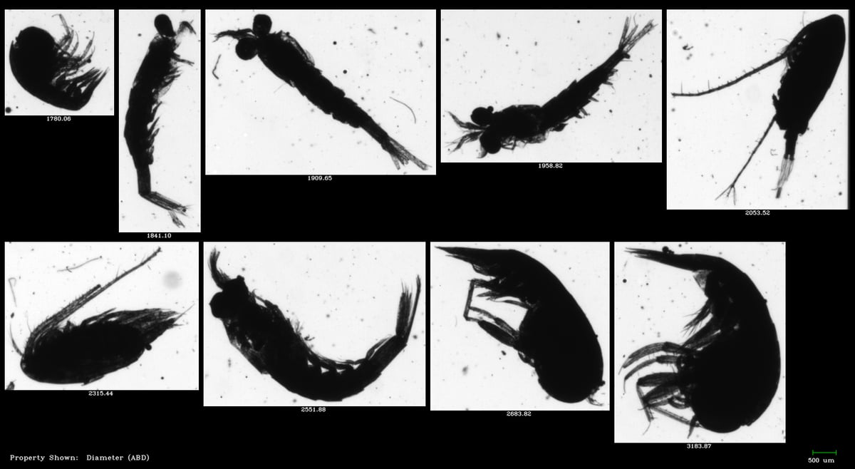 Particle Size Analyzer Instrument | Particle Shape Analysis