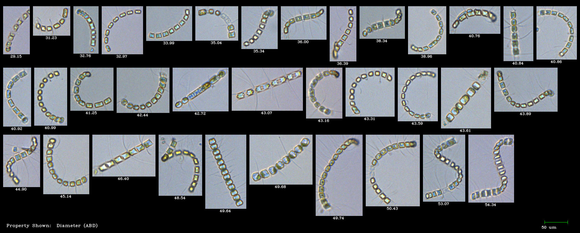 Shellfish Aquaculture Monitoring | Bivalve Research | FlowCam