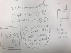 FlowCam Fuels Maine Middle School Bioscience Day Buzz