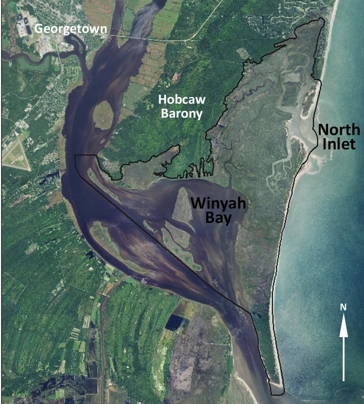 Monitoring the Effects of Weather on Phytoplankton Groups