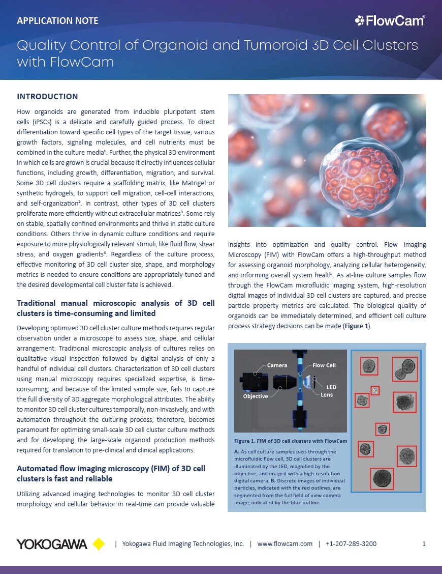 Optimizing Organoid Research with Quality Control of 3D Cell Cultures