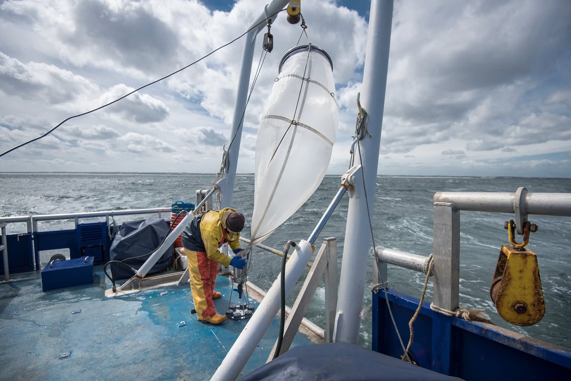 The Phytoplankton Identification Gallery: A Shared FlowCam Resource