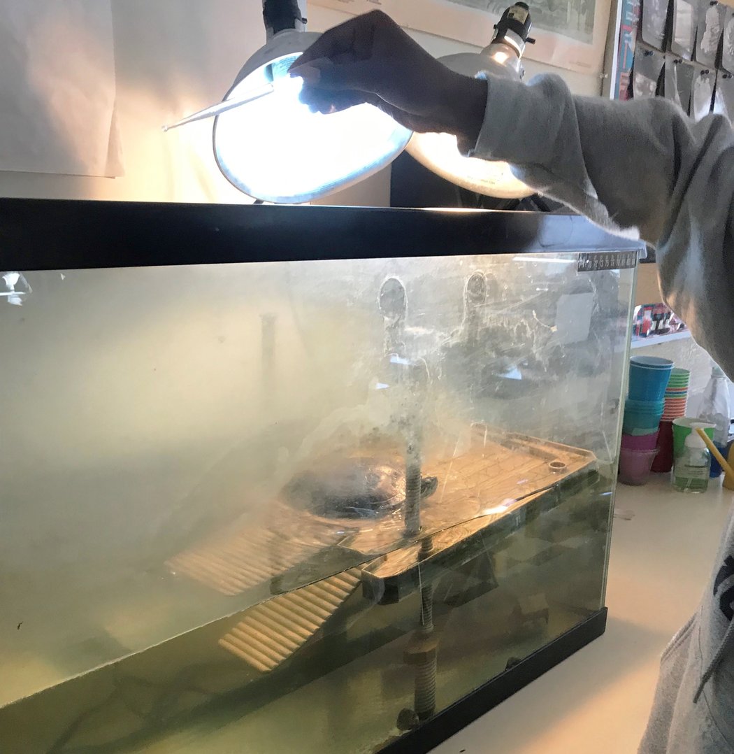 FlowCam Fuels Maine Middle School Bioscience Day Buzz